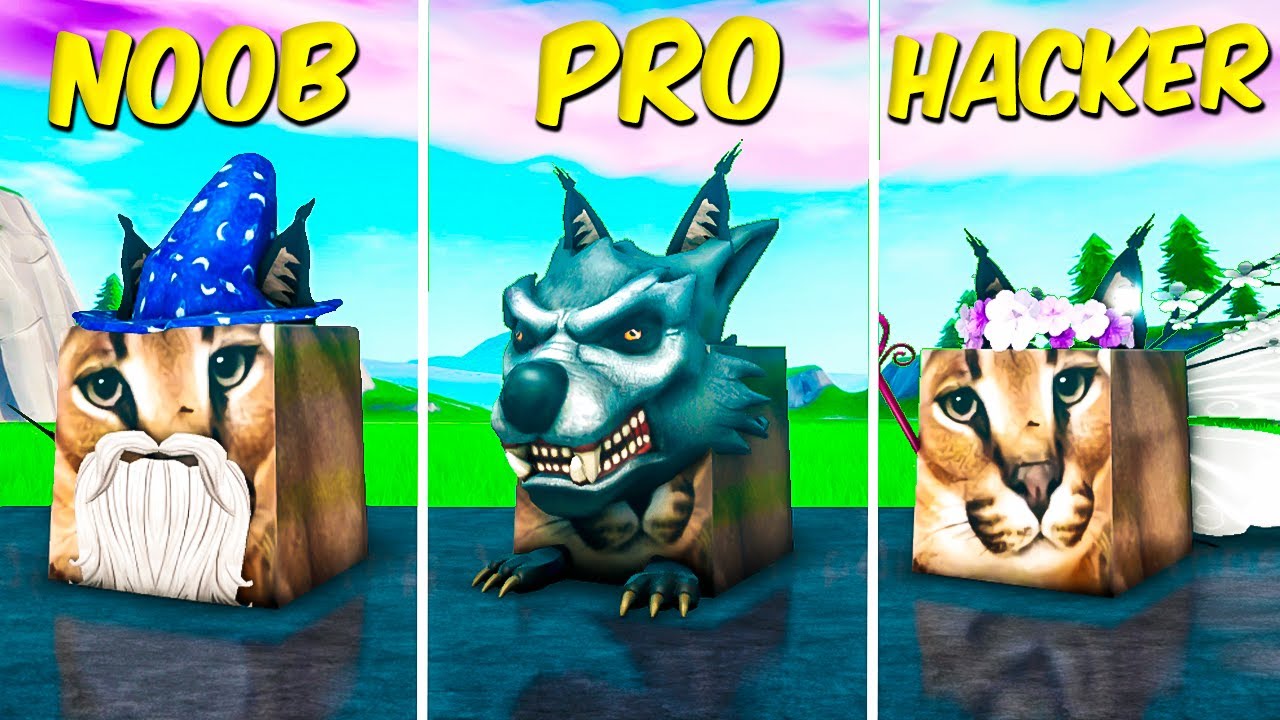 NOOB VS PRO VS HACKER: PROCURANDO FLOPPA COM FANTASIAS em FIND THE ...