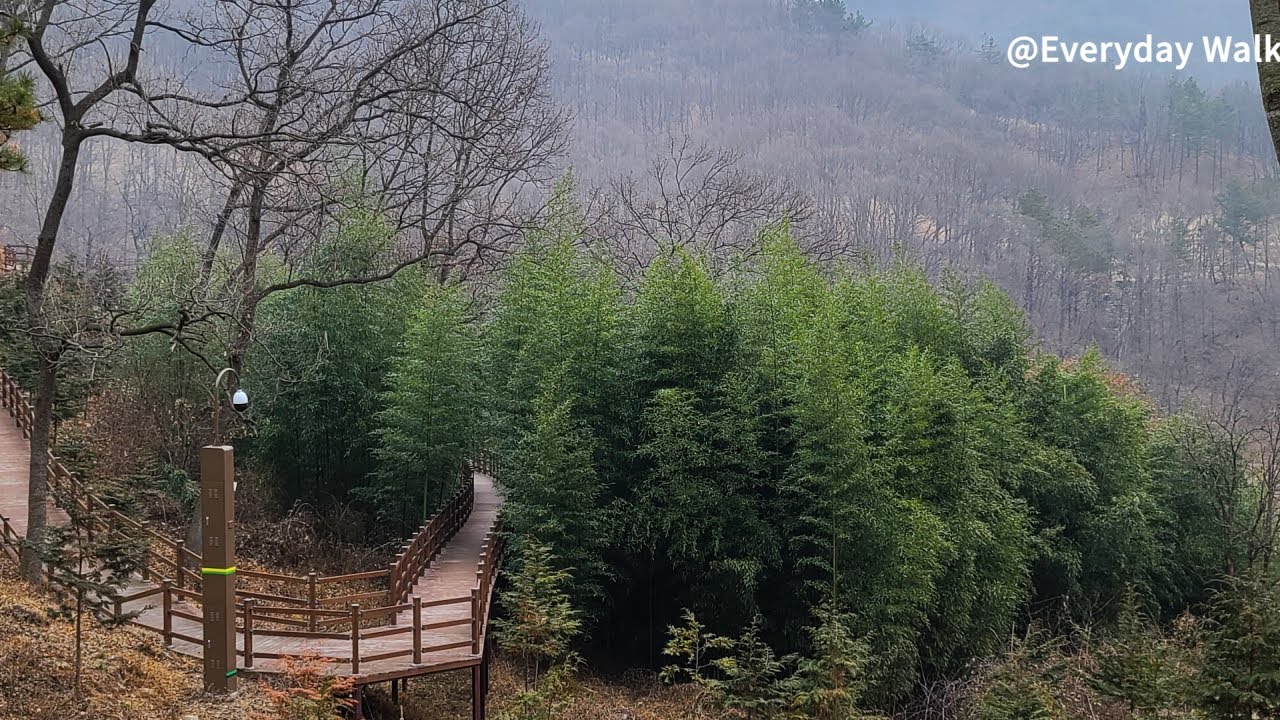 대전 치유의 숲 둘레길 숲속공연장 보문약수터 송학사능선 전망바위 까치고개 보문사지 치유의 숲 우영골 윗사정삼거리