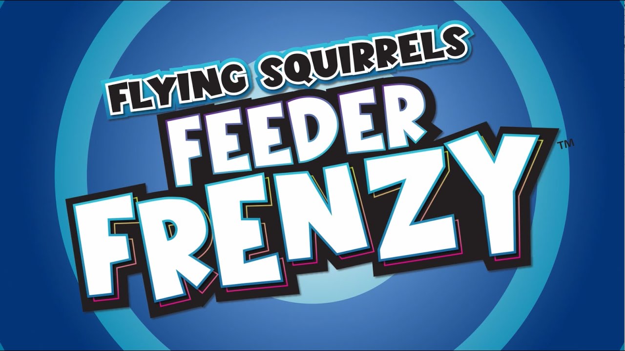 Feeder Frenzy: Flying Squirrels game - the fun new family skill ...