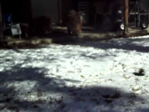 Ruby Digger Baby Boy and Snugglebug.AVI - YouTube