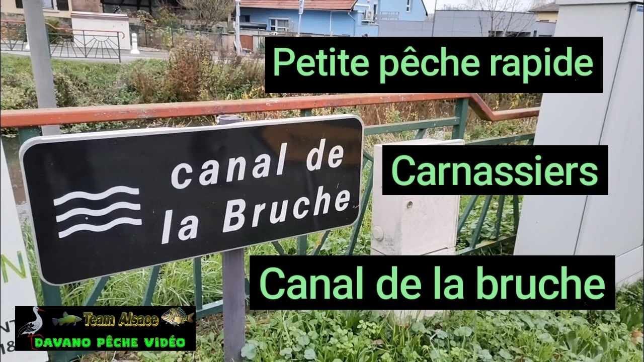 Carnassiers du canal de la Bruche - YouTube