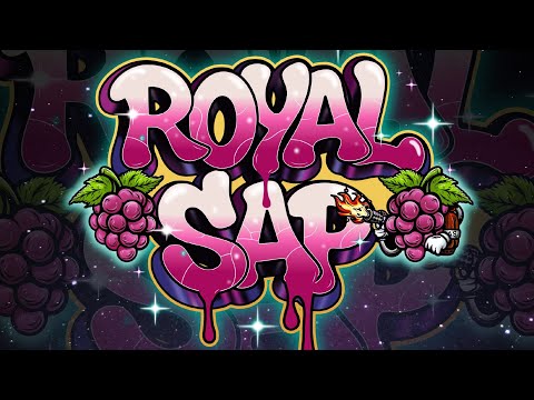 SUNO: how Royal Sap makes $ living Amsterdam Coffee Shop life 