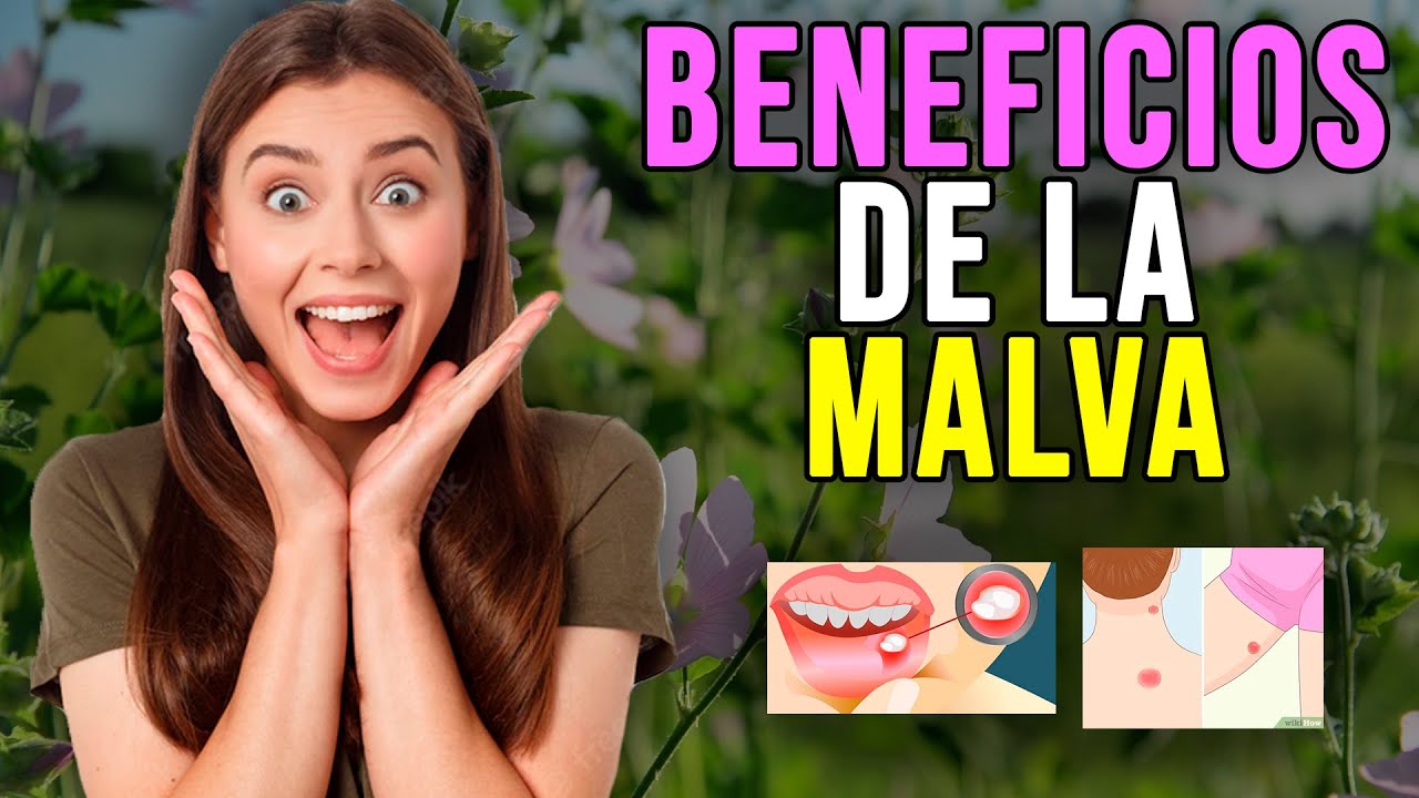 LA MALVA | EL SECRETO PARA MEJORAR TU SALUD QUE TE SORPRENDERÁ - YouTube