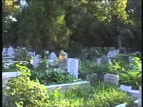 Cennet Hayatı - Dini Belgesel ~ www.duafm.com ~