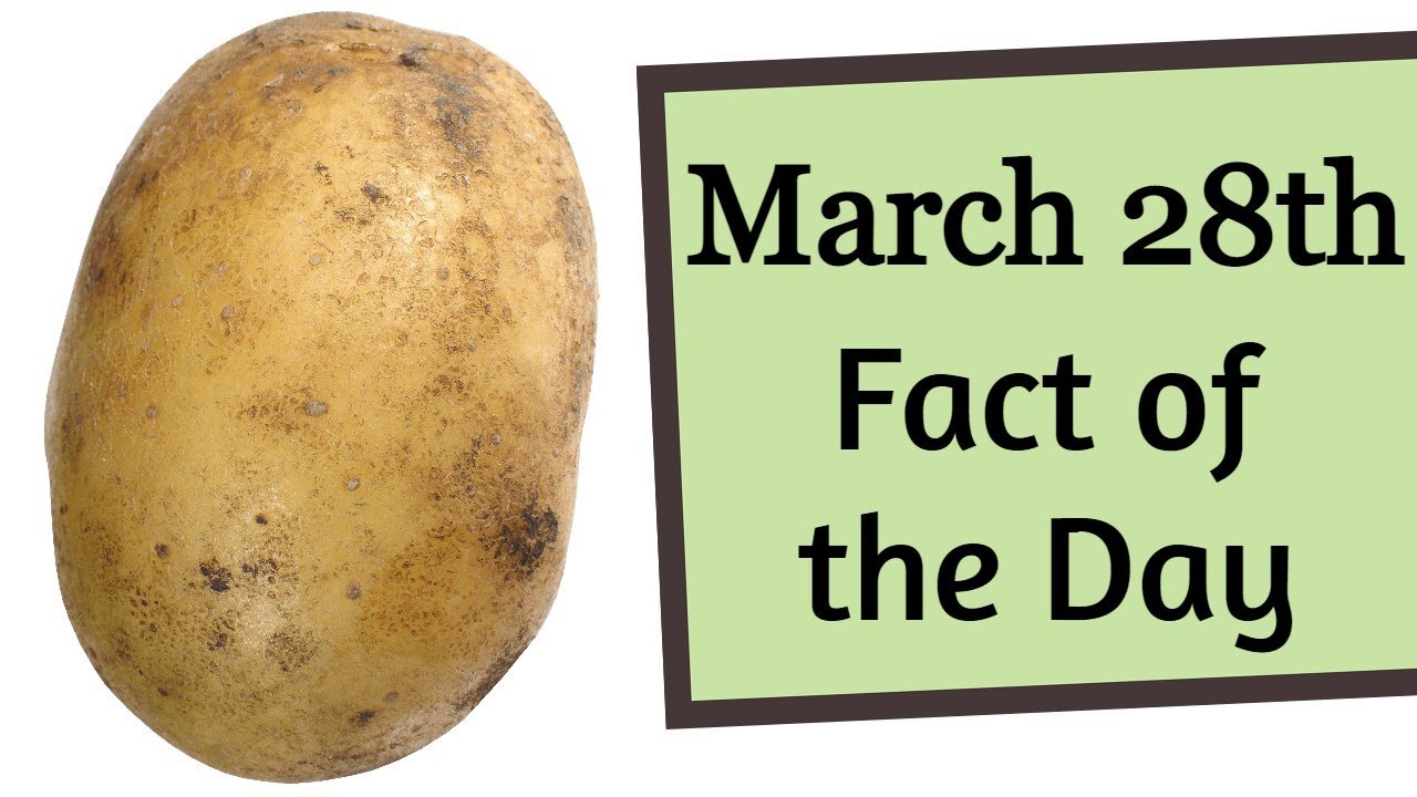 March 28th Fact of the Day (2022) - YouTube
