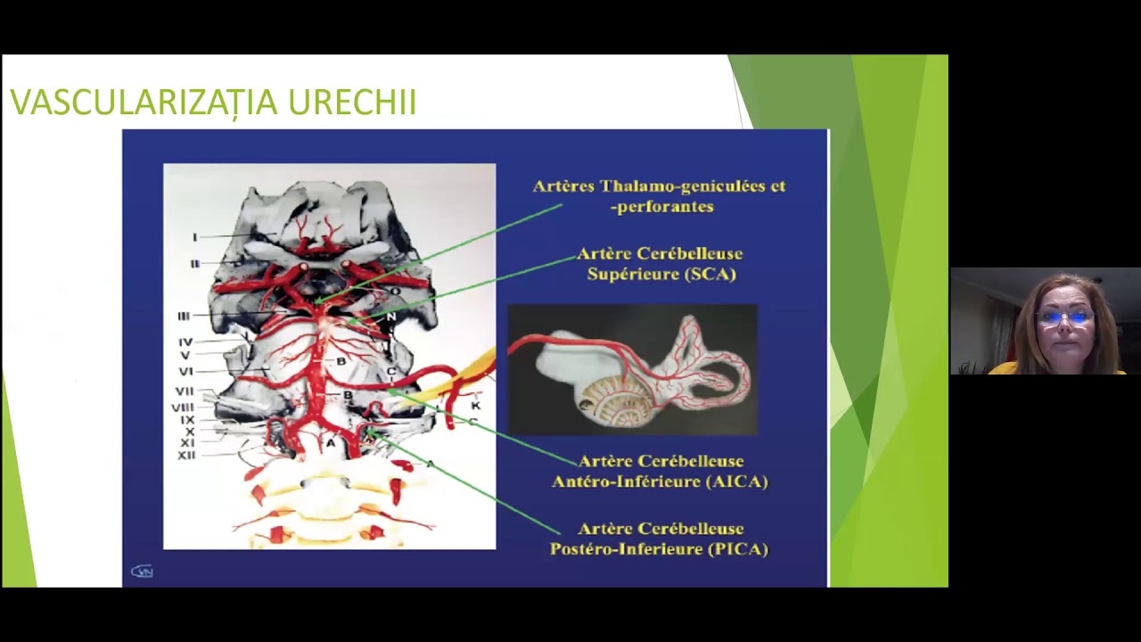 Ameteala,instabilitatea, tinnitusul si hipoacuzia-antibioterapie in ...