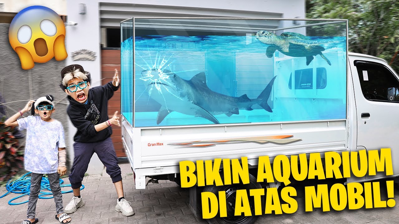 GILA! BIKIN AQUARIUM RAKSASA DI ATAS MOBIL!!! IKAN PREDATOR NGAMUK ...