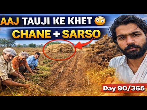 Gaon Ki Zindagi 💯 | Aaj 2 Fasalon Ki Katai 😳 | Day 90/365