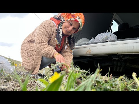 keşke gelmeseydim yalan dünyaya ( Öznur Sabancı )