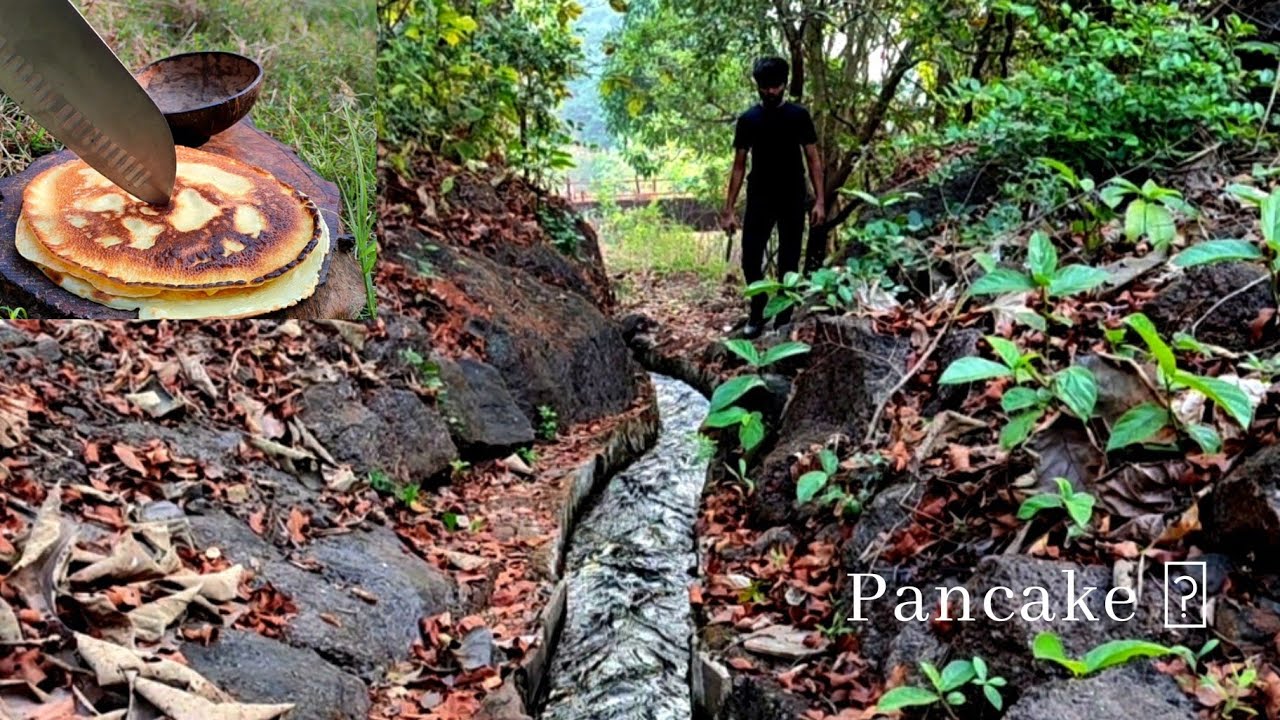 pancake | in forest | forest cooking | #beutifulnature #forest #cooking ...