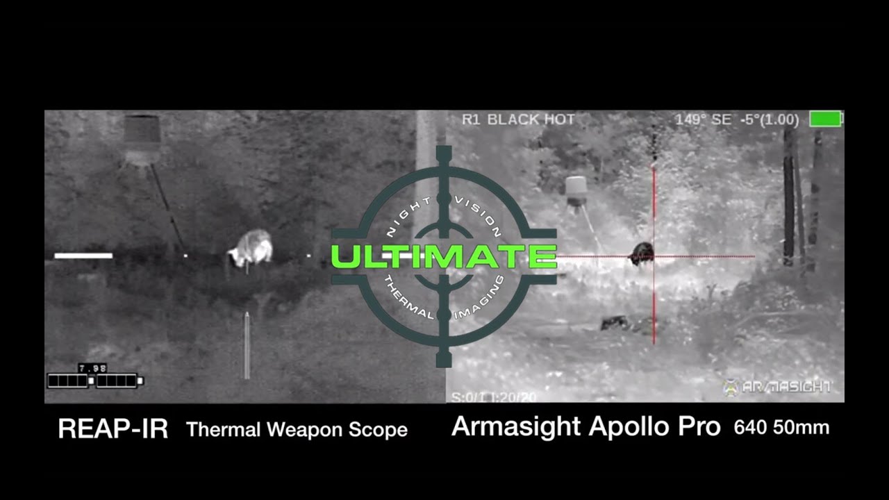 4 out of 5 Pigs Recommend Night Vision over Thermal for Hunting at ...