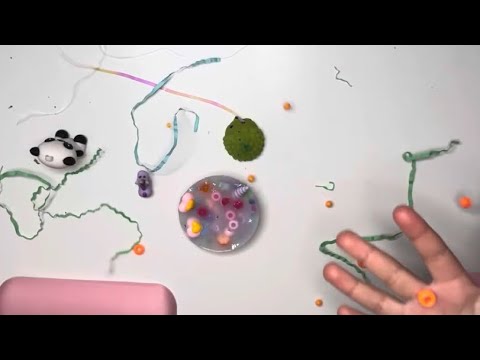 ASMR Picky Pad Collaboration. #granddaughter #asmr #asmrvideo # ...