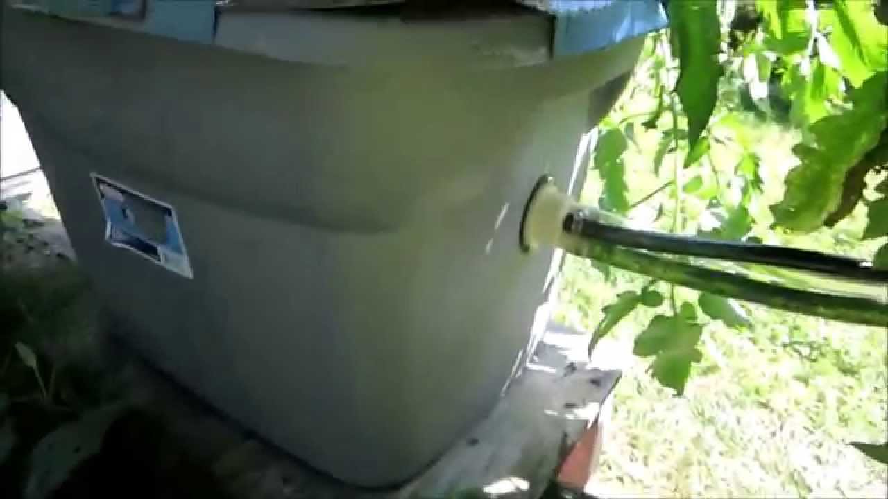 Hepo Hydroponics Update (08/13/14) - YouTube