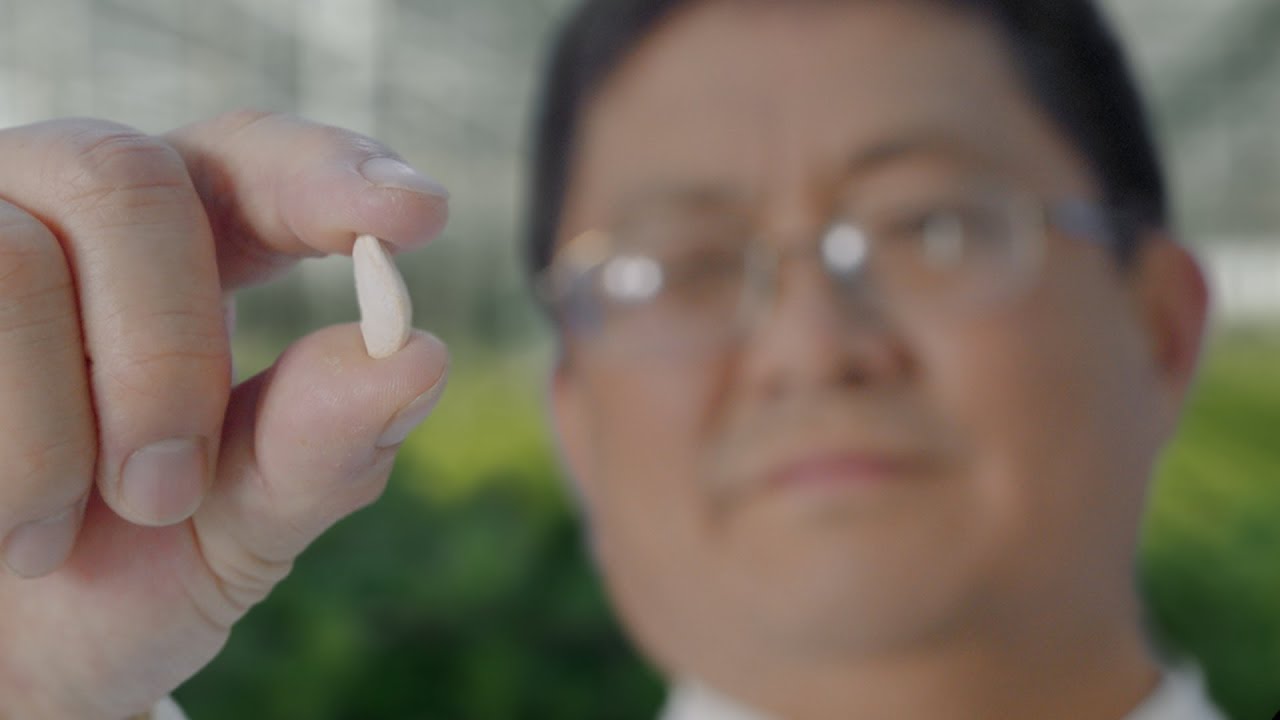 Nutrilite Traceability Step 2: Choosing the Seed | Amway - YouTube