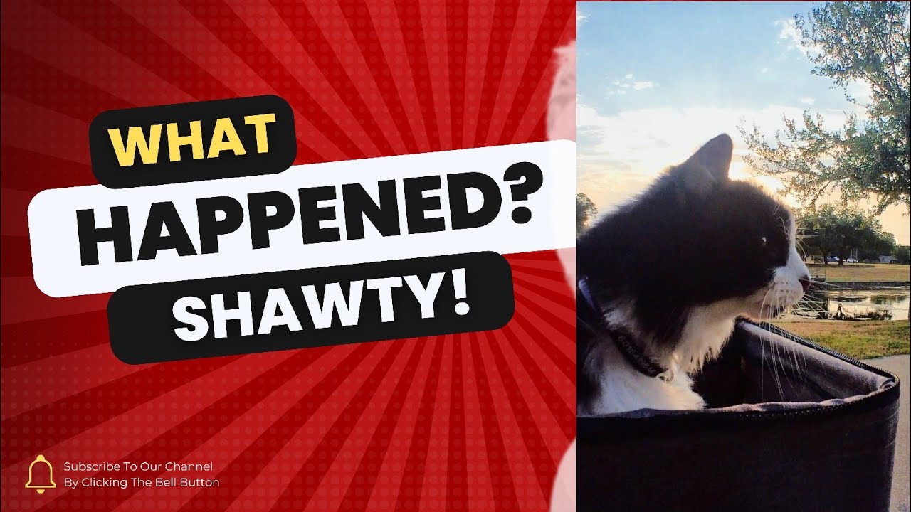 Walk with God Day 30 Plano Texas Chisholm Trail with my cat Shawty ...