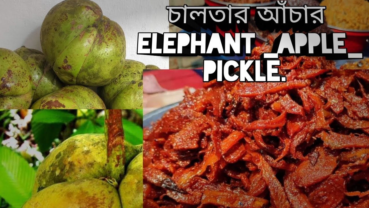 চালতার আঁচারের রেসিপি||chaltar achar recipe /Elephant apple pickle ...