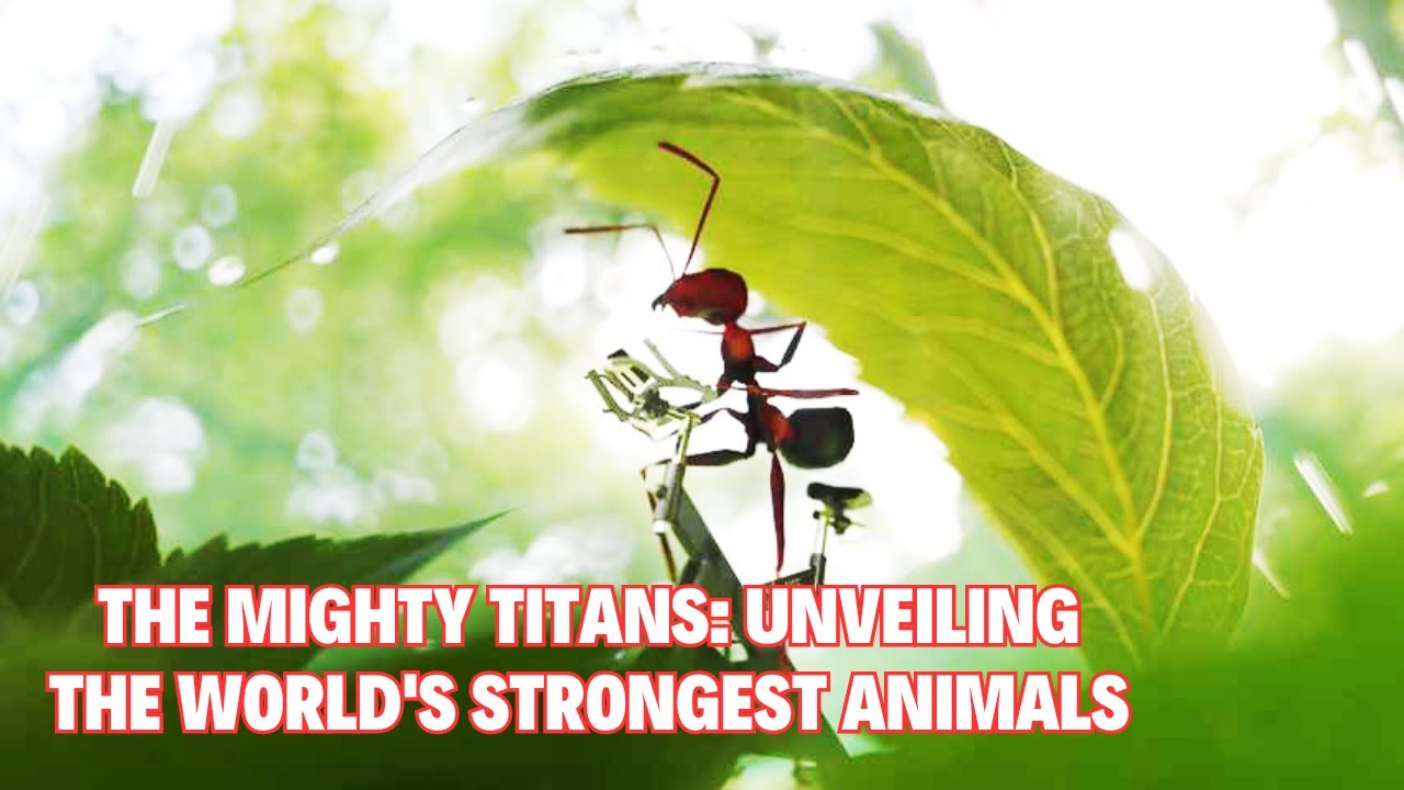 The Mighty Titans: Unveiling the World's Strongest Animals - YouTube