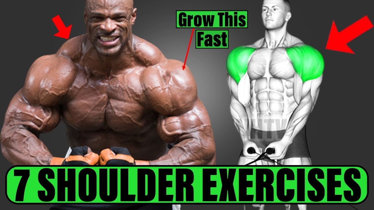 7 Effective Shoulder Exercises for Boulder Shoulders - YouTube