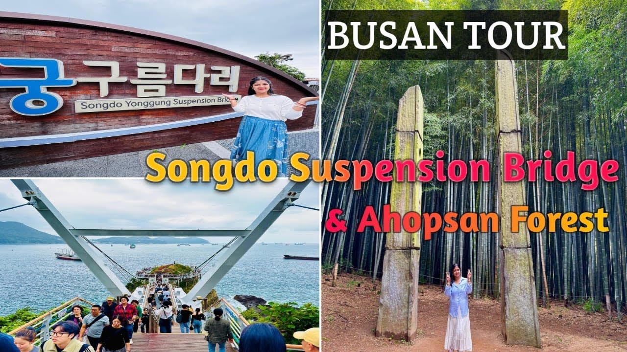Busan Tour:- Visiting Songdo Suspension Bridge & Ahopsan Forest ॥ Part ...