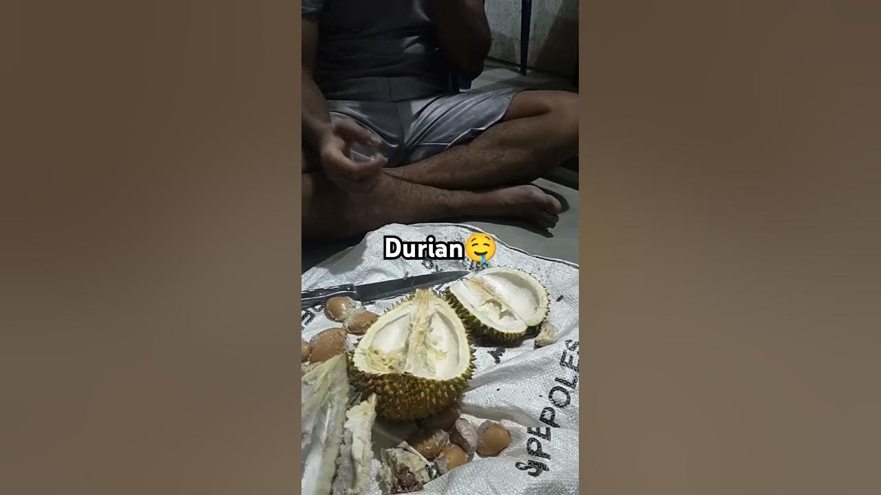 Durian rasa kopi..#durian #durenbawor #pecintadurian #durianlover - YouTube