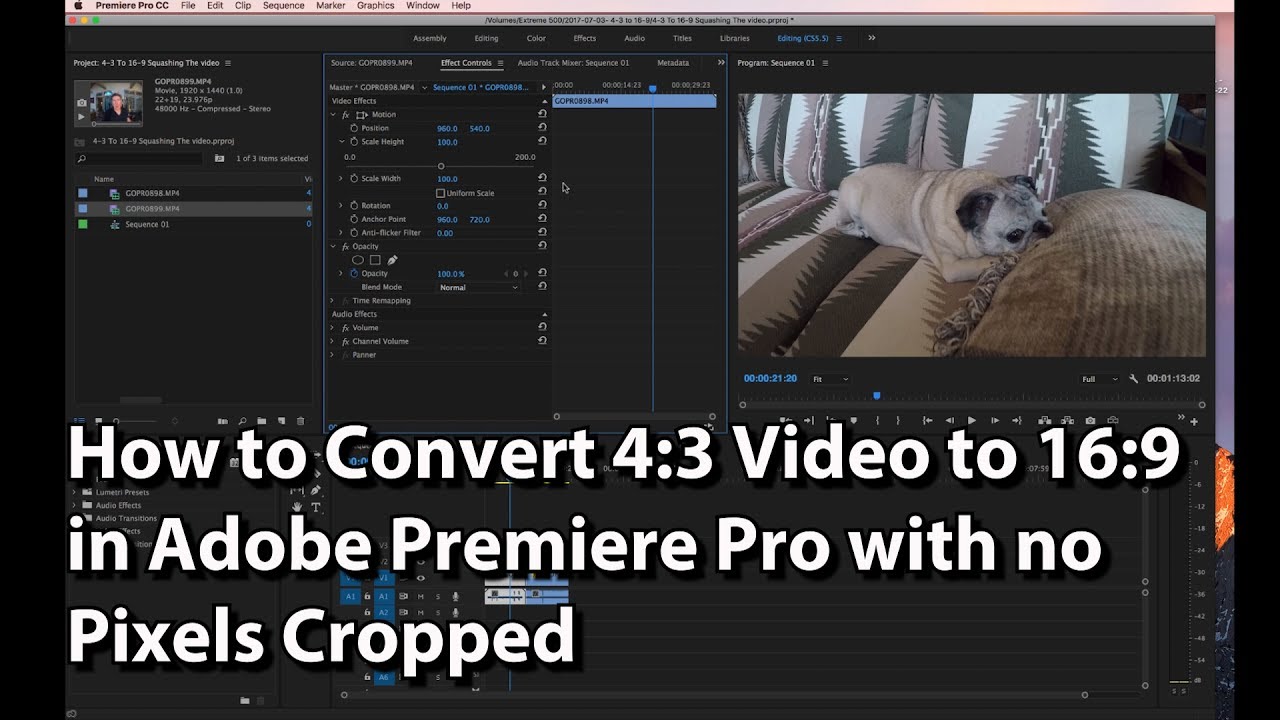 How To Convert 4 3 Video To 16 9 In Adobe Premiere Pro With No Pixels