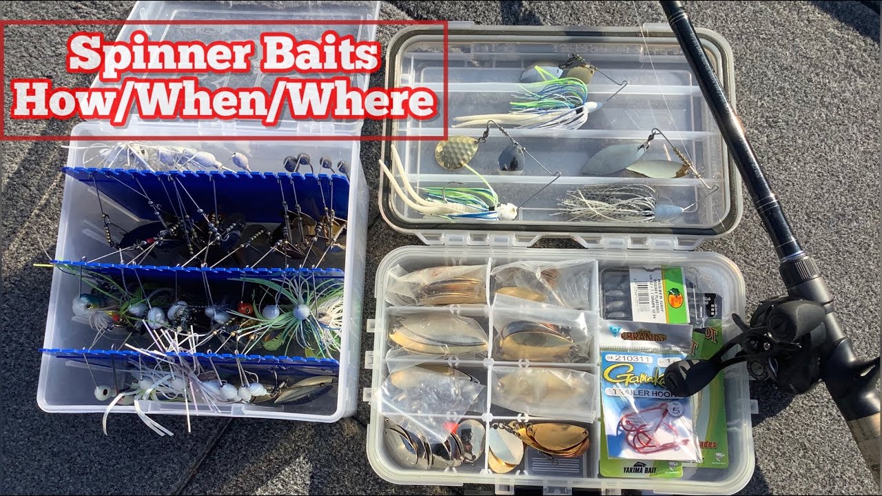 Spinner baits-When to choose and how to choose the correct one’s! - YouTube