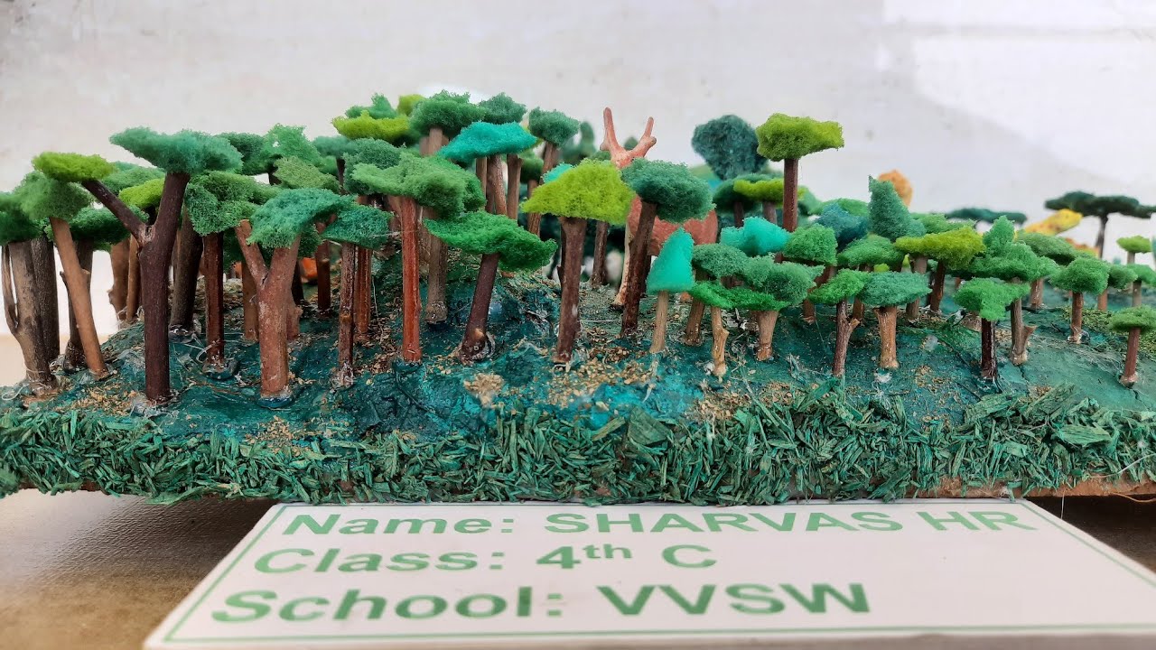 Natural Vegetation Model - Class 4 | School project for class 4 | How ...