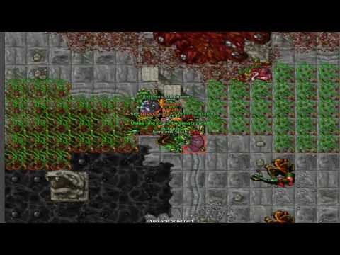 Osiann Server-Leveliando ala kina