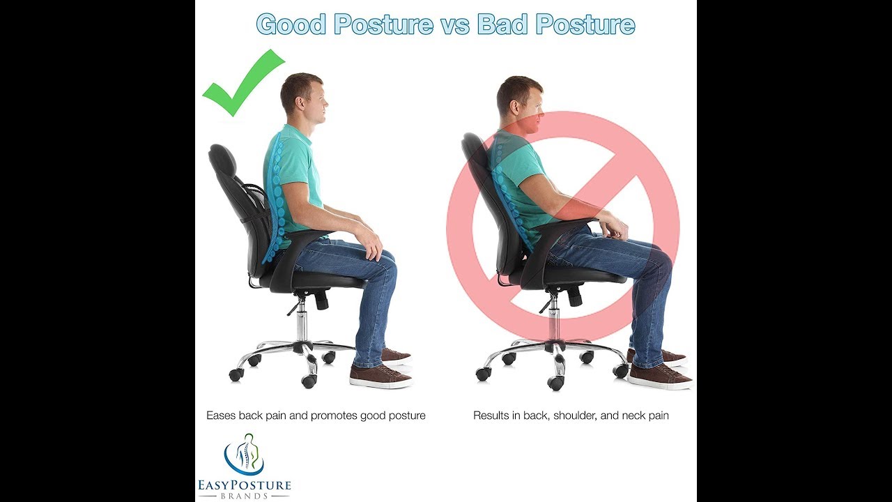 Easy Posture Brands Easy Posture Mesh Lumbar Back Support - YouTube