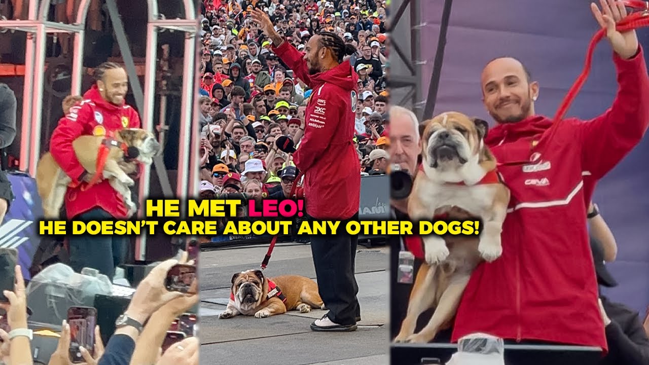 Hamilton arrive with Roscoe on the Fan stage at Silverstone! after Race ...