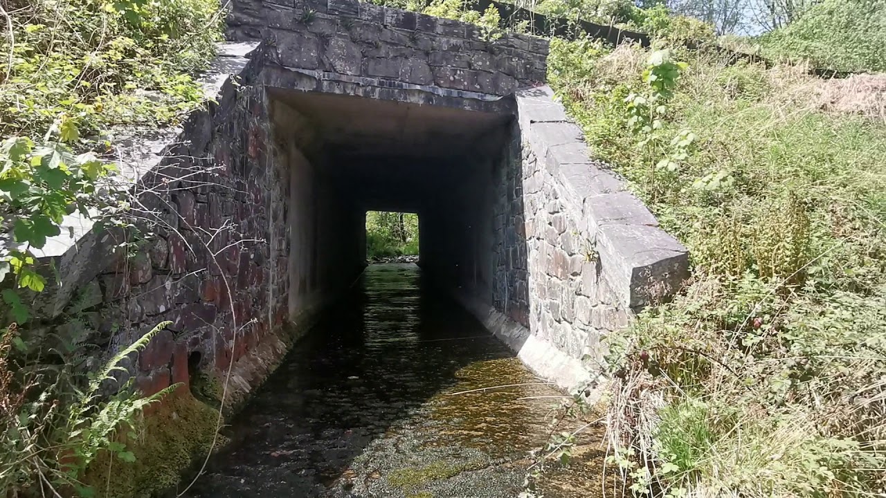 Corris Railway southern extension phase 1 update 16th May 2020 - YouTube