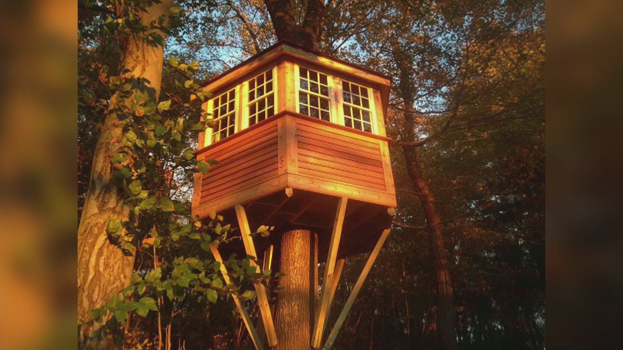 Nyberg: Tree House Brothers - YouTube