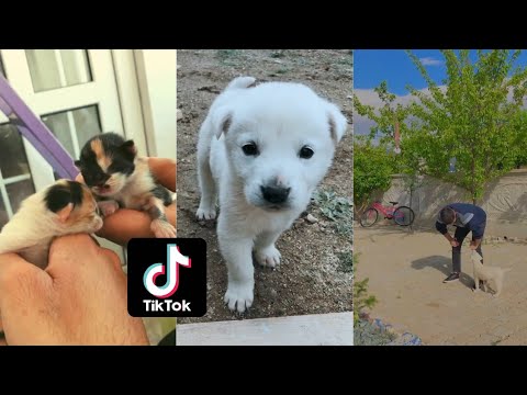 TikTok TV =) Ejderha yavrusu bulut ☁️☁️