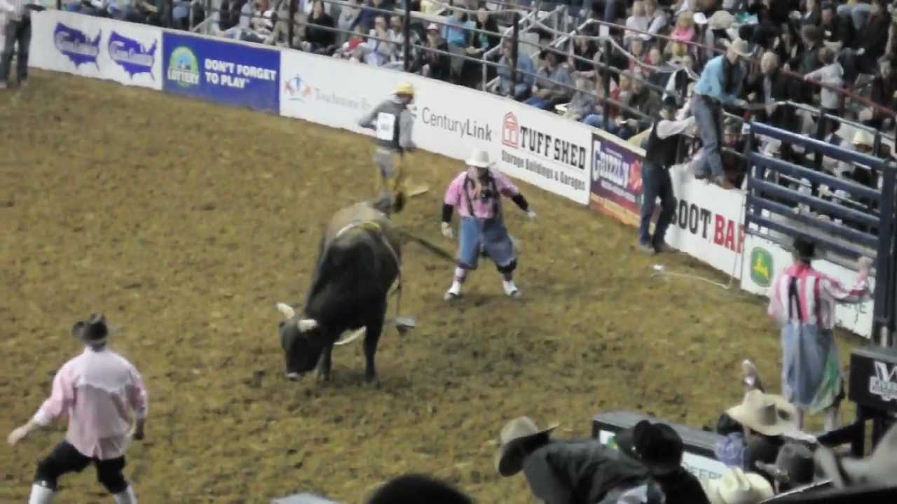 Bull Attacks Man - YouTube