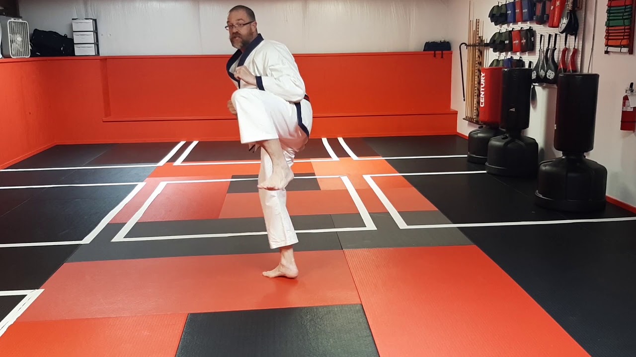 Low Roundhouse Kick, Spin Side Kick, Front Kick - YouTube