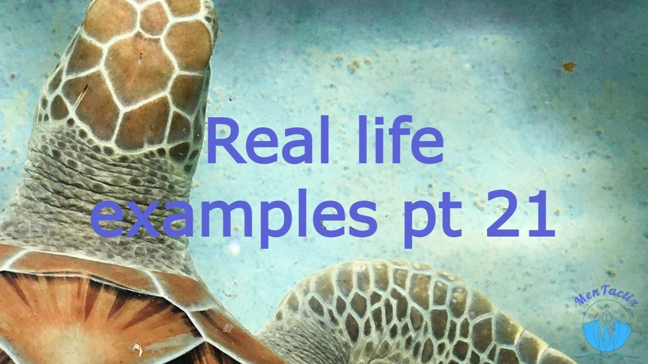 Real life examples pt 21 - YouTube