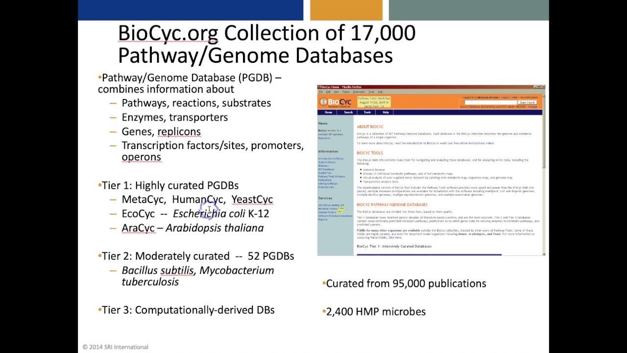 Introduction to BioCyc - YouTube