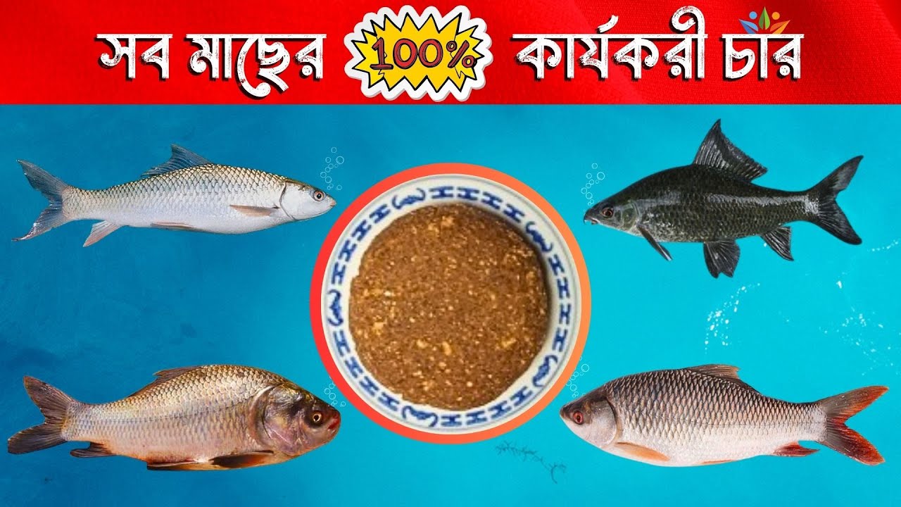 সব মাছ ধরার স্পেশাল চার তৈরি করুন সহজেই । All Fishing Bait । Macher ...