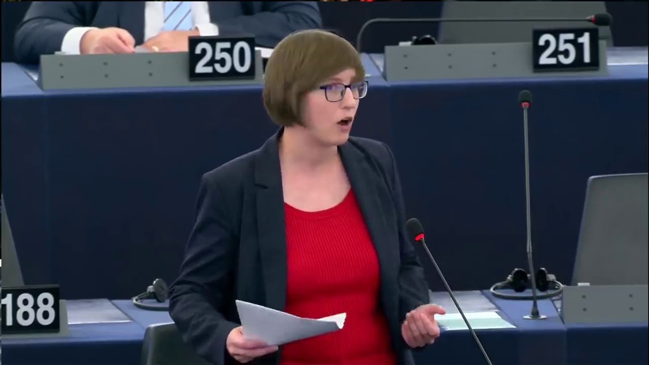 Julia Reda (Piraten Partei) hält Plädoyer gegen Artikel 13 im Europa ...