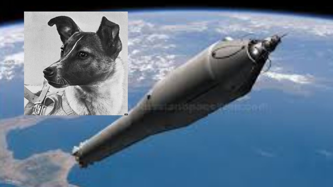 Sputnik-2 in space flight simulator - YouTube