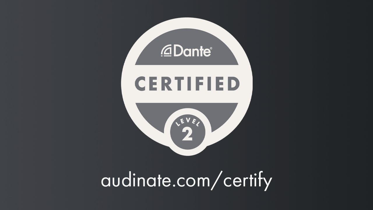 Dante Level 2 (2nd Edition), Chapter 2: Helpful Network Concepts - YouTube