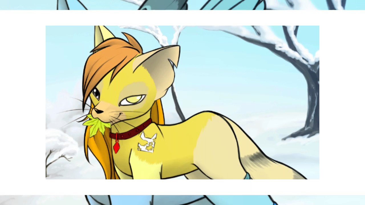 FOR ANIMATORS THAT JUST STARTED YOUTUBE!!./ / HERE ARE OC'S YOU CAN ...