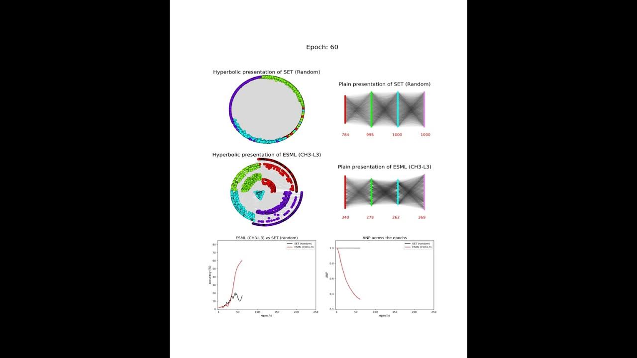 Network Science for self-learning the structure of sparse neural ...