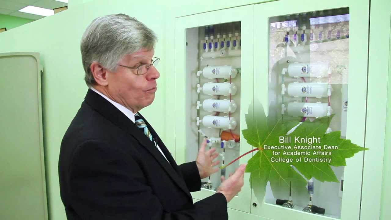Dean Knight - Sustainability Strategic Thinking - YouTube
