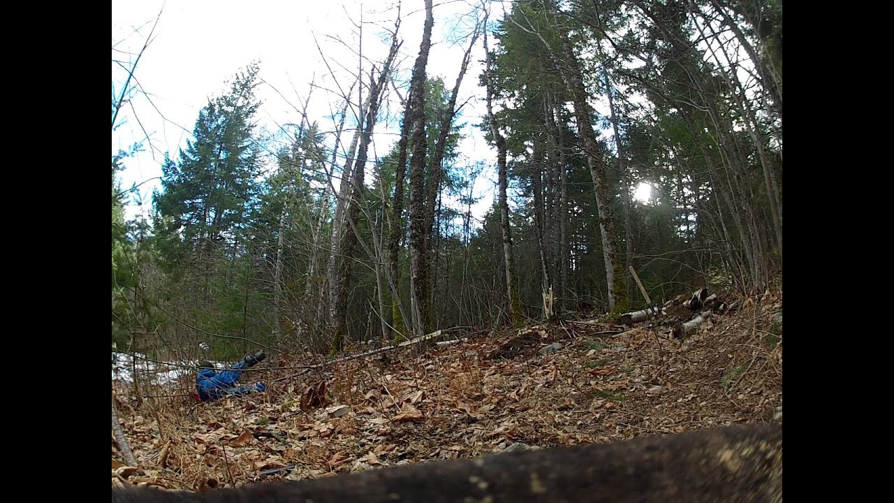 Hilarious tree fall fail - YouTube