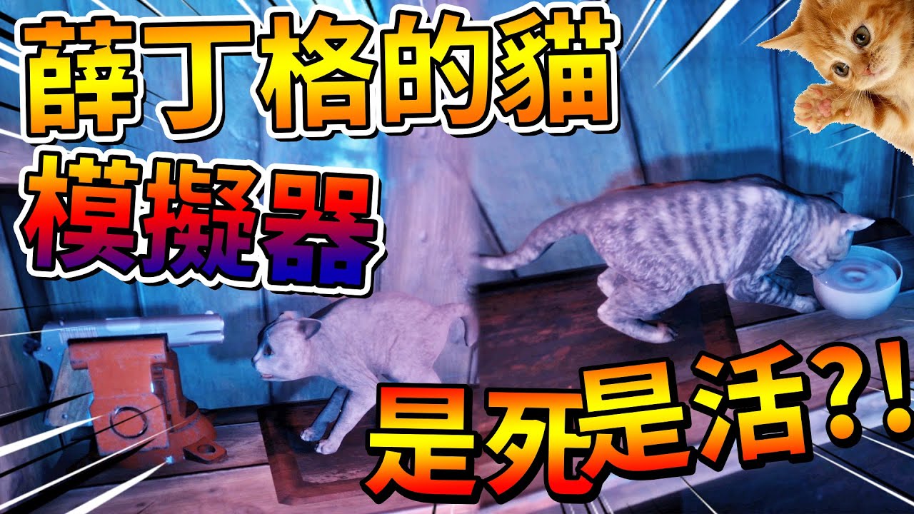 薛丁格的貓模擬器!! 究竟我是救貓還是殺貓?!! 恐怖遊戲 Schrodinger's cat simulator - YouTube
