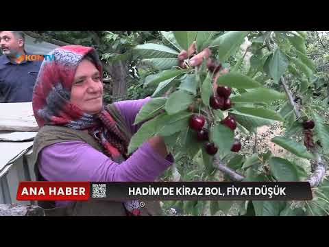 HADİM'DE KİRAZ BOL, FİYAT DÜŞÜK!