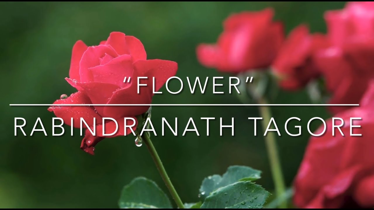 “Flower” | Rabindranath Tagore | #flower #presentmoment #cherish # ...