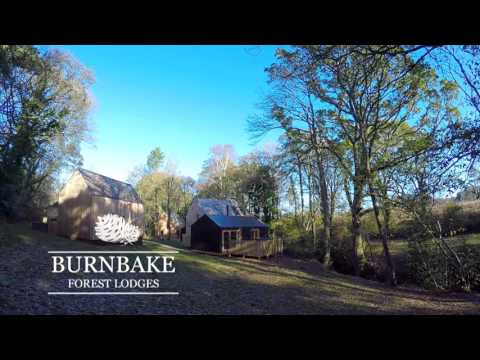 Burnbake Forest Lodges in Dorset - YouTube