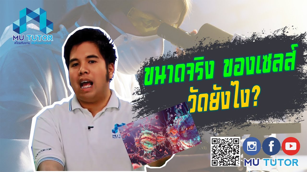 การหาขนาดวัตถุจริง กำลังขยายของภาพ กล้องจุลทรรศน์ เลนส์ใกล้ตา เลนส์ใกล้วัตถุ ไมโครเมตร #MUTUTOR ...